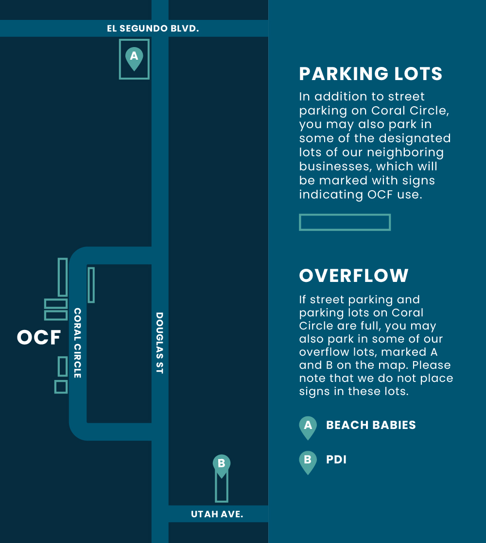 OCF Church – Join us Sundays at 9:00am and 11:00am